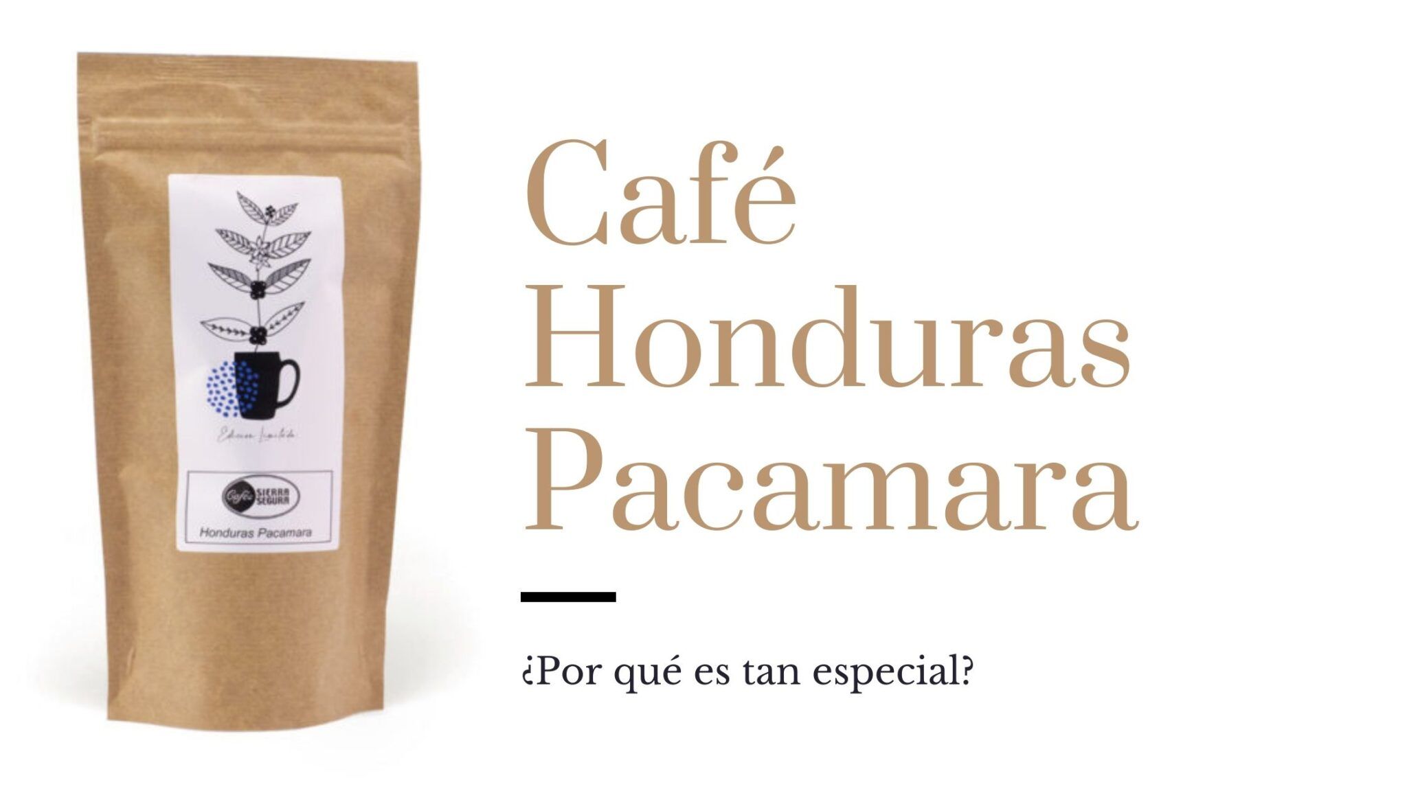 Cafés Sierra Segura - Café de Honduras Edición Limitada